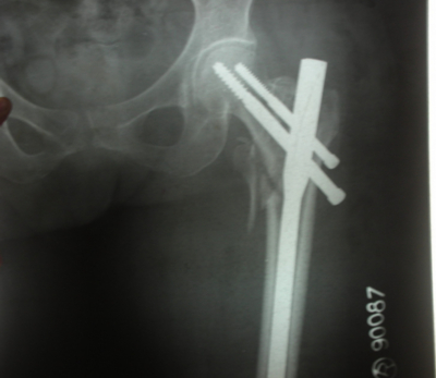 Internet Scientific Publications